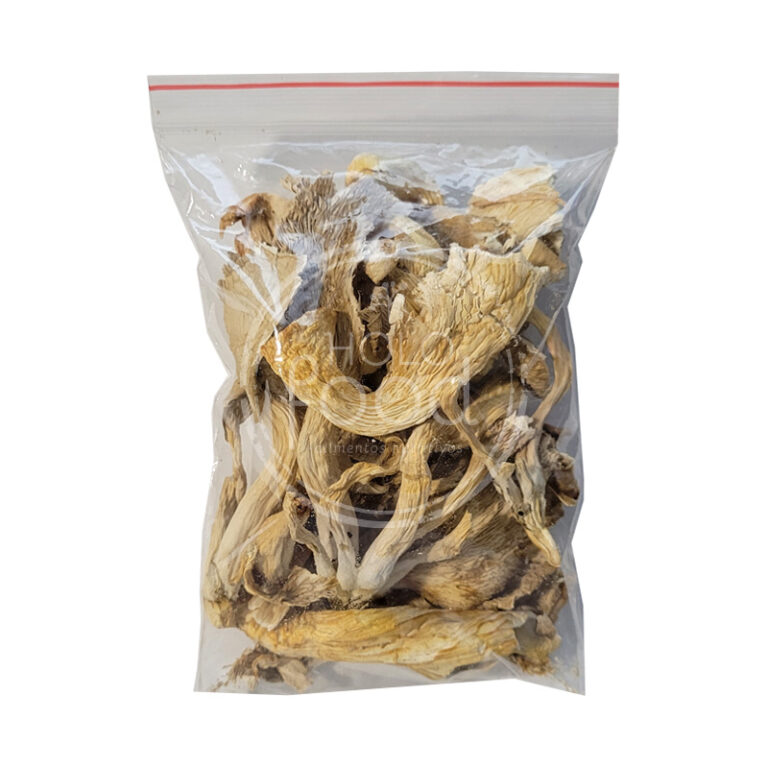 HoloFood – Alimentos nutritivos